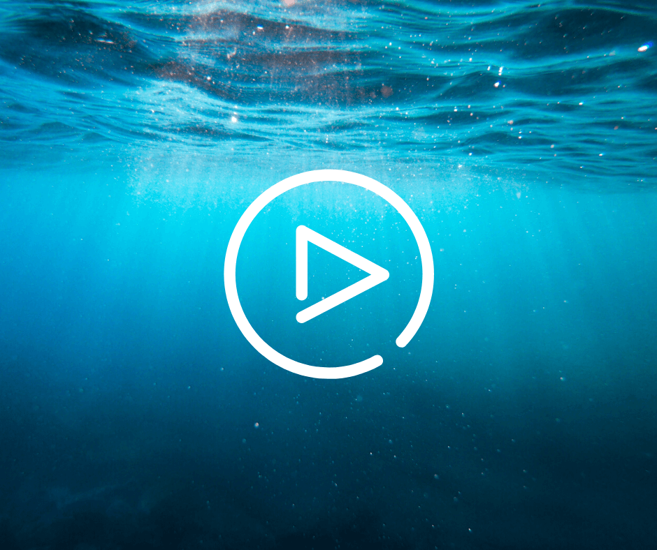 Vida Meditation | Deep Rest Meditation Audio Experience